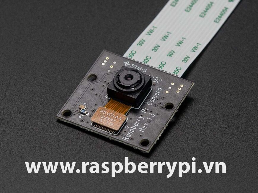 Camera hồng ngoại Raspberry Pi NoIR