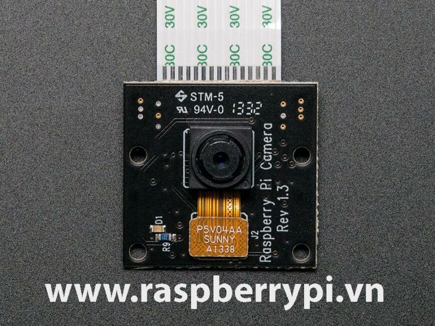 Camera hồng ngoại Raspberry Pi NoIR