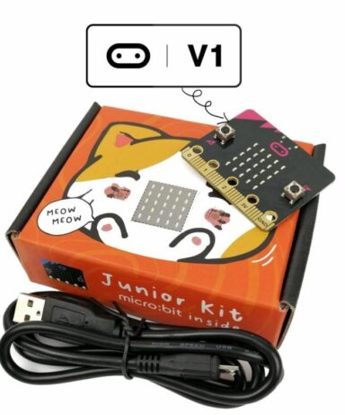 Micro:bit – Raspberry Pi Việt Nam